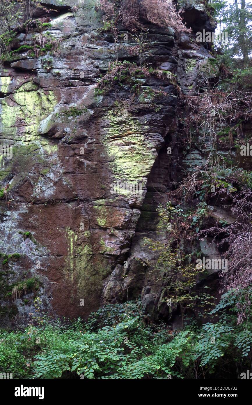 Forest cliff hi-res stock photography and images - Alamy