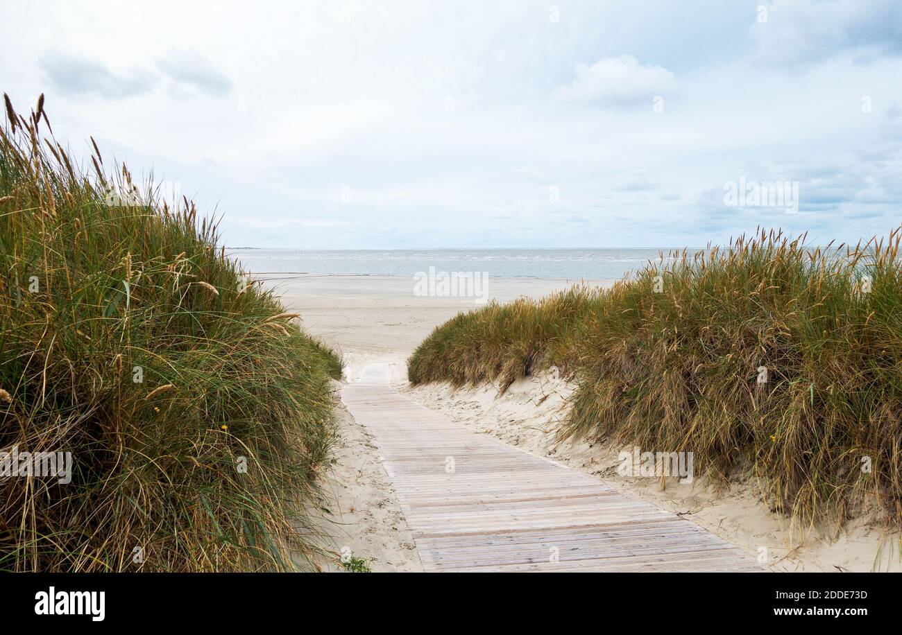 Empty boardwalk stretching across grassy beach Stock Photo - Alamy