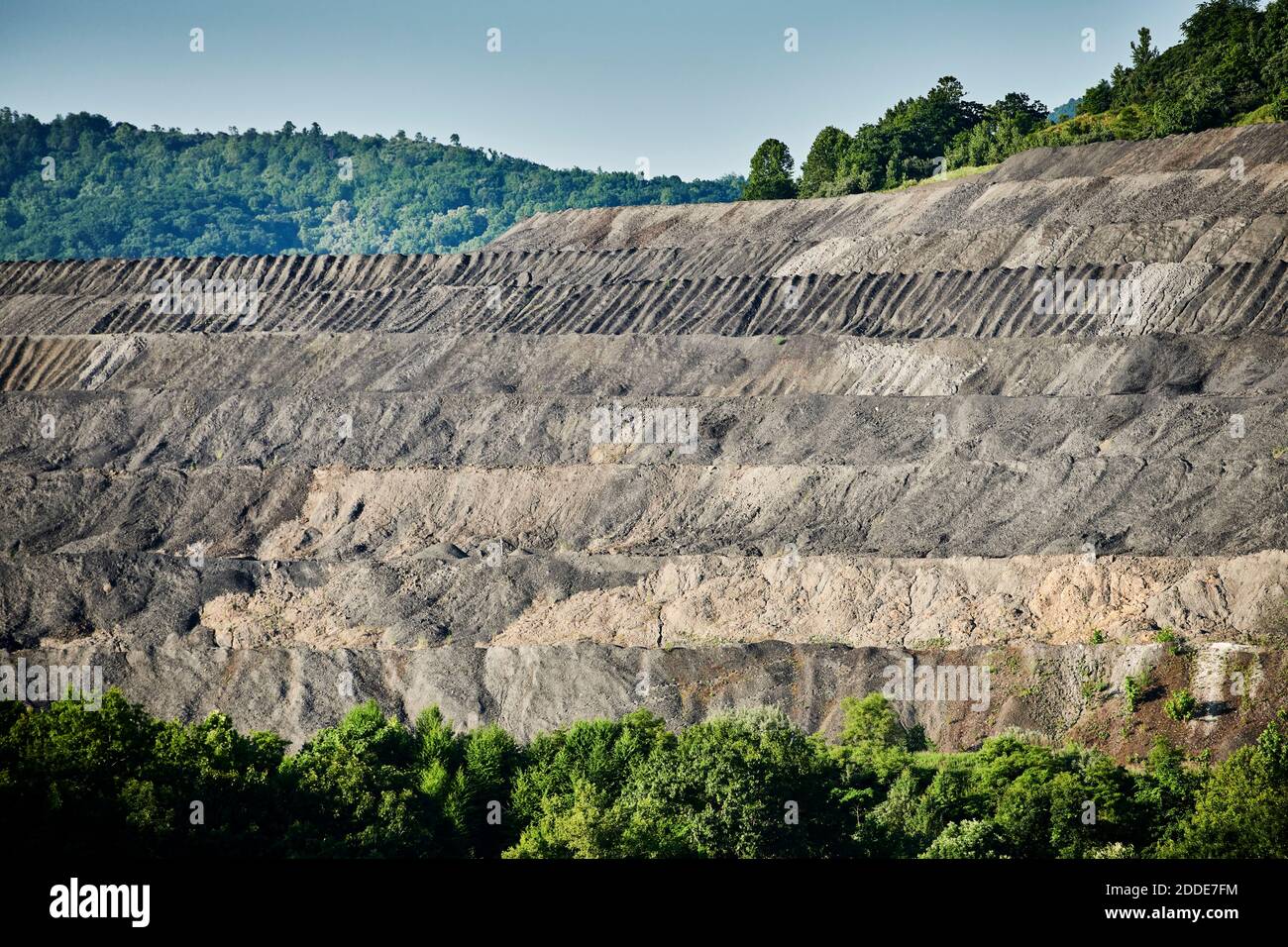 Quarry forest hi-res stock photography and images - Alamy