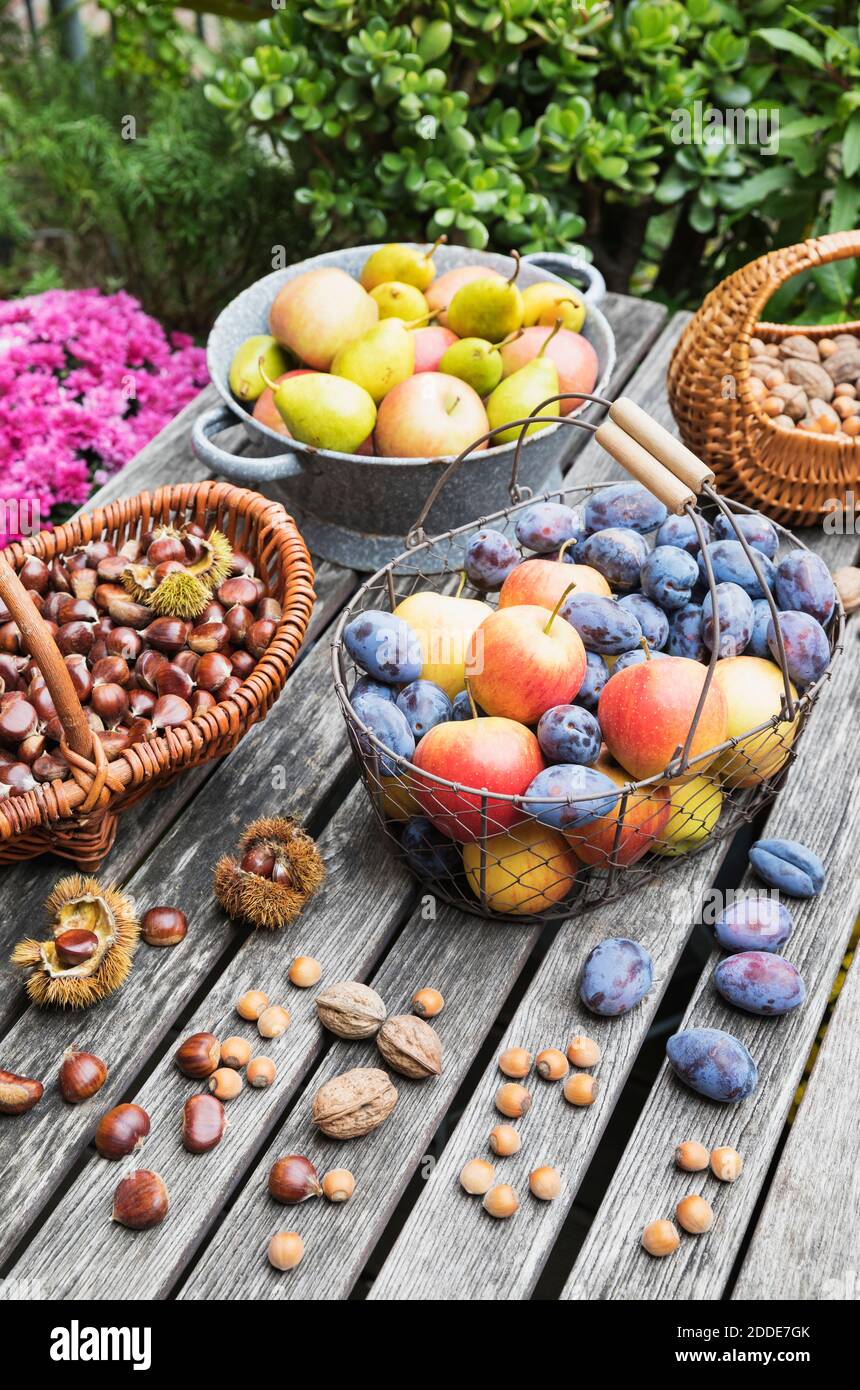 Garden table filled with autumn harvest of nuts and fruits Stock Photo ...