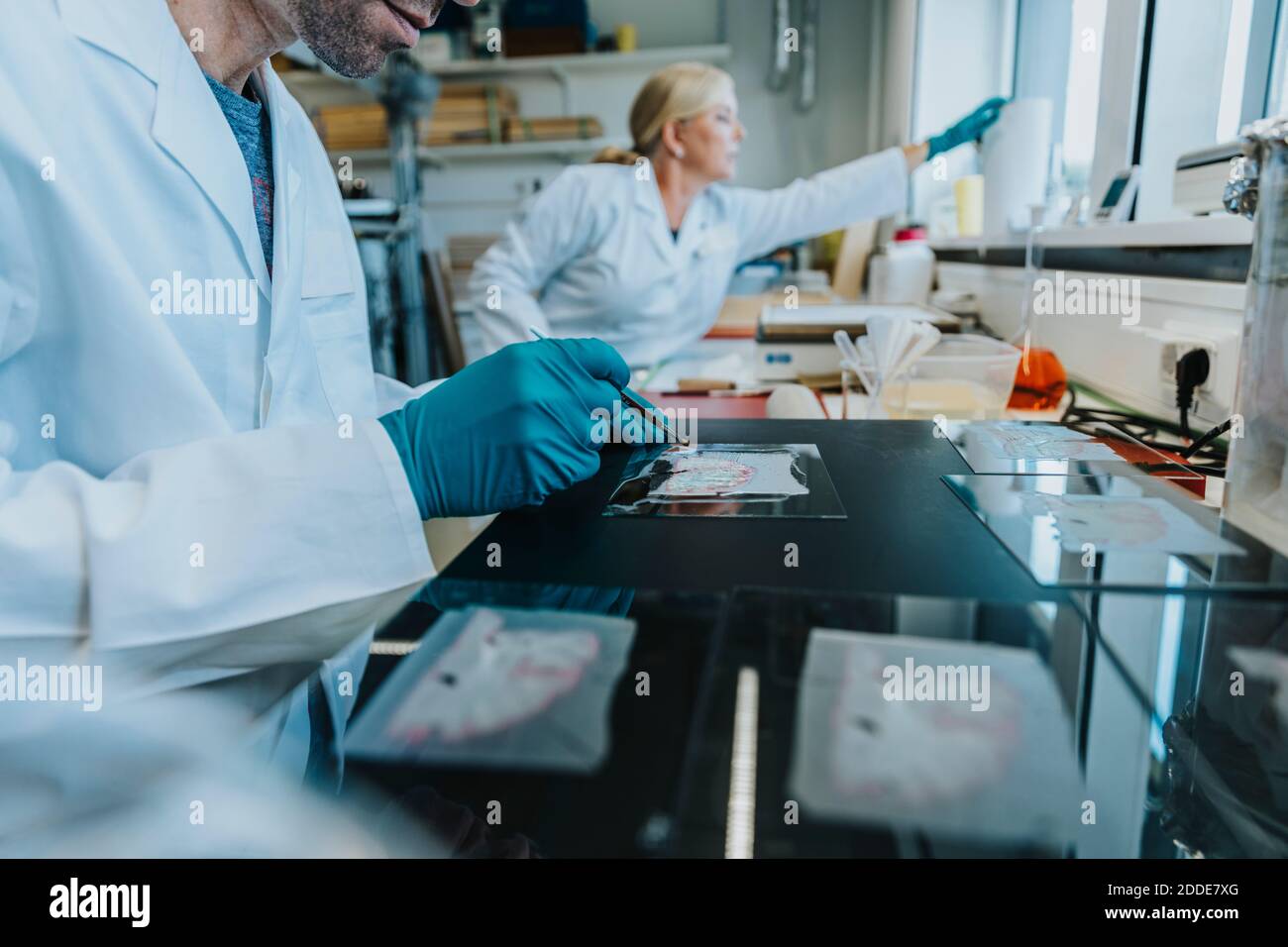 Man working on human brain microscope slide with coworker standing in ...