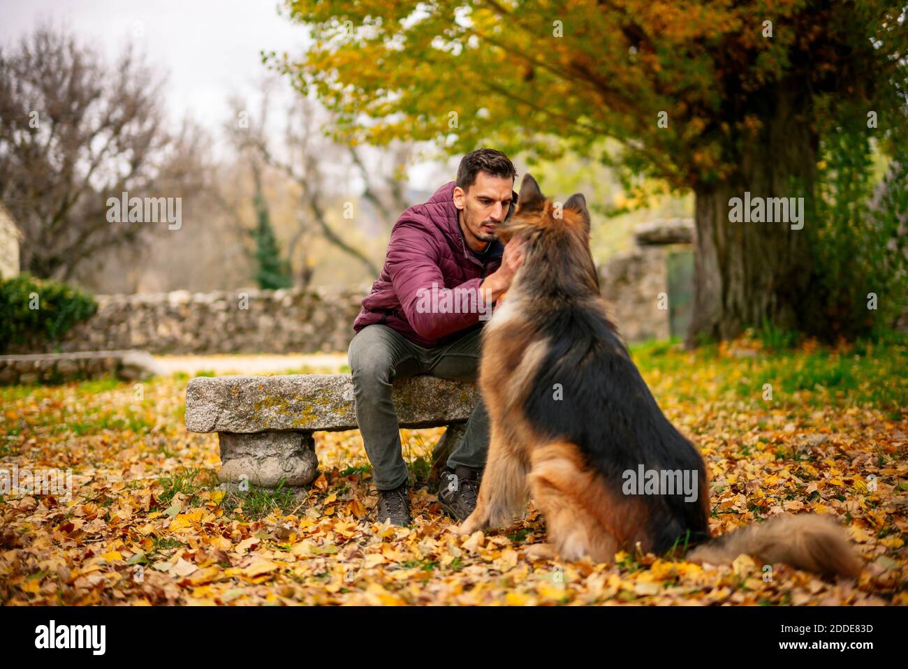Man and dog sitting on bench hi-res stock photography and images - Alamy