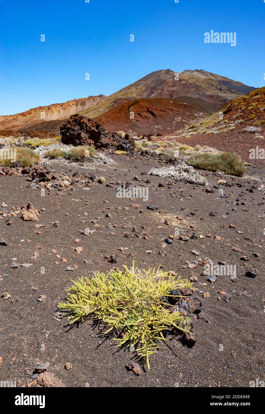 Volcanic landscape of Tenerife island Stock Photo - Alamy