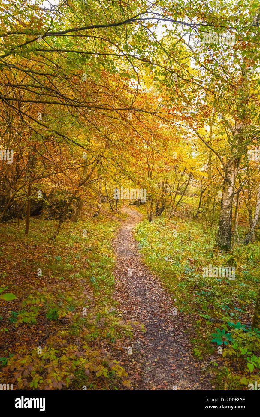 Elevated pathway hi-res stock photography and images - Alamy