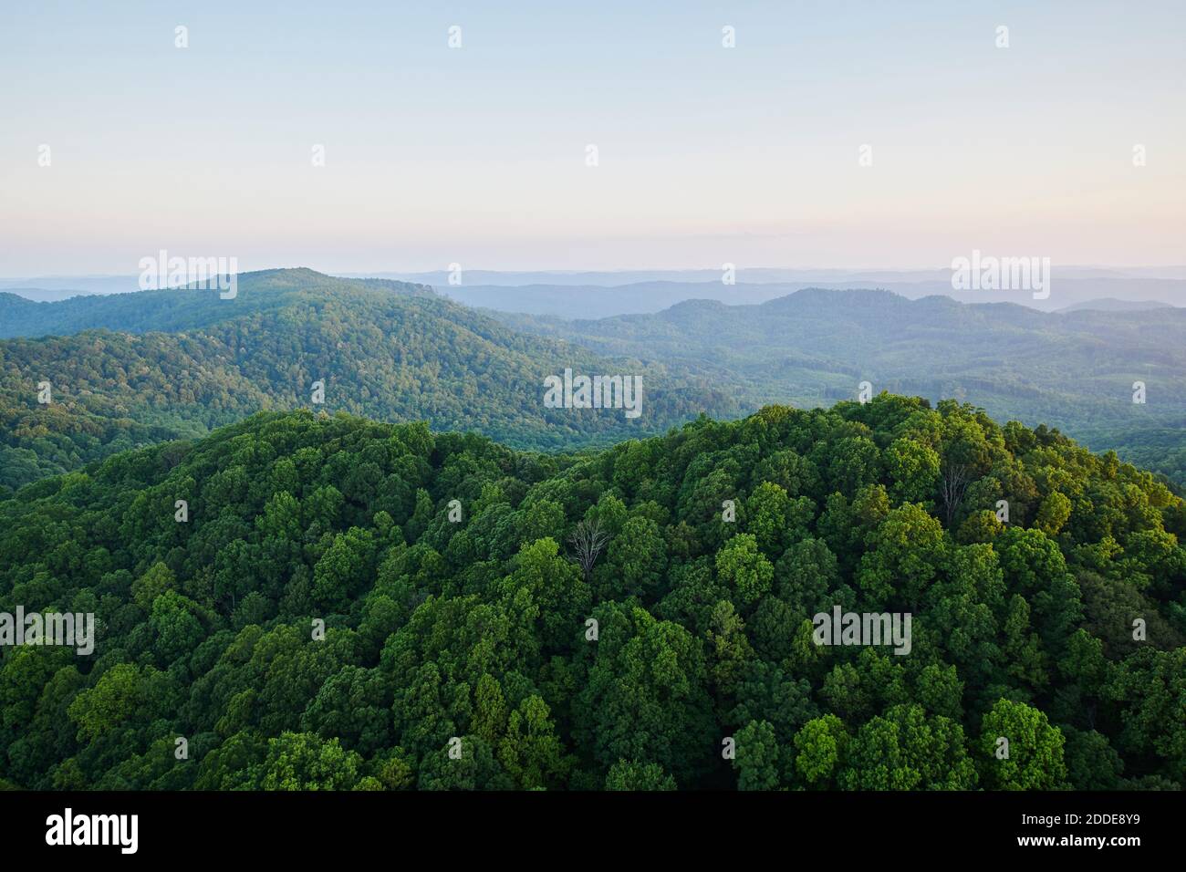 Aerial view of Appalachian forest shrouded in morning fog Stock Photo ...