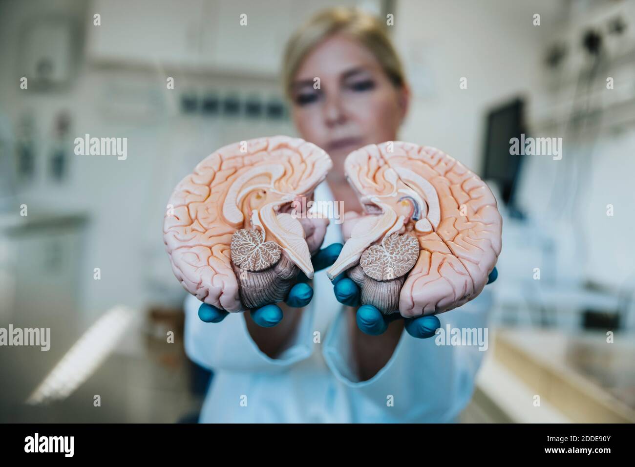 Half human brain hi-res stock photography and images - Alamy
