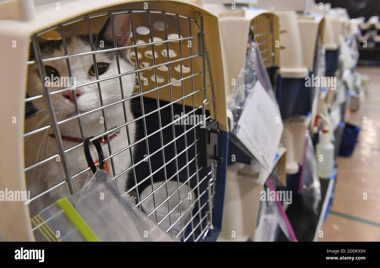West boynton park and recreation center hi-res stock photography and ...