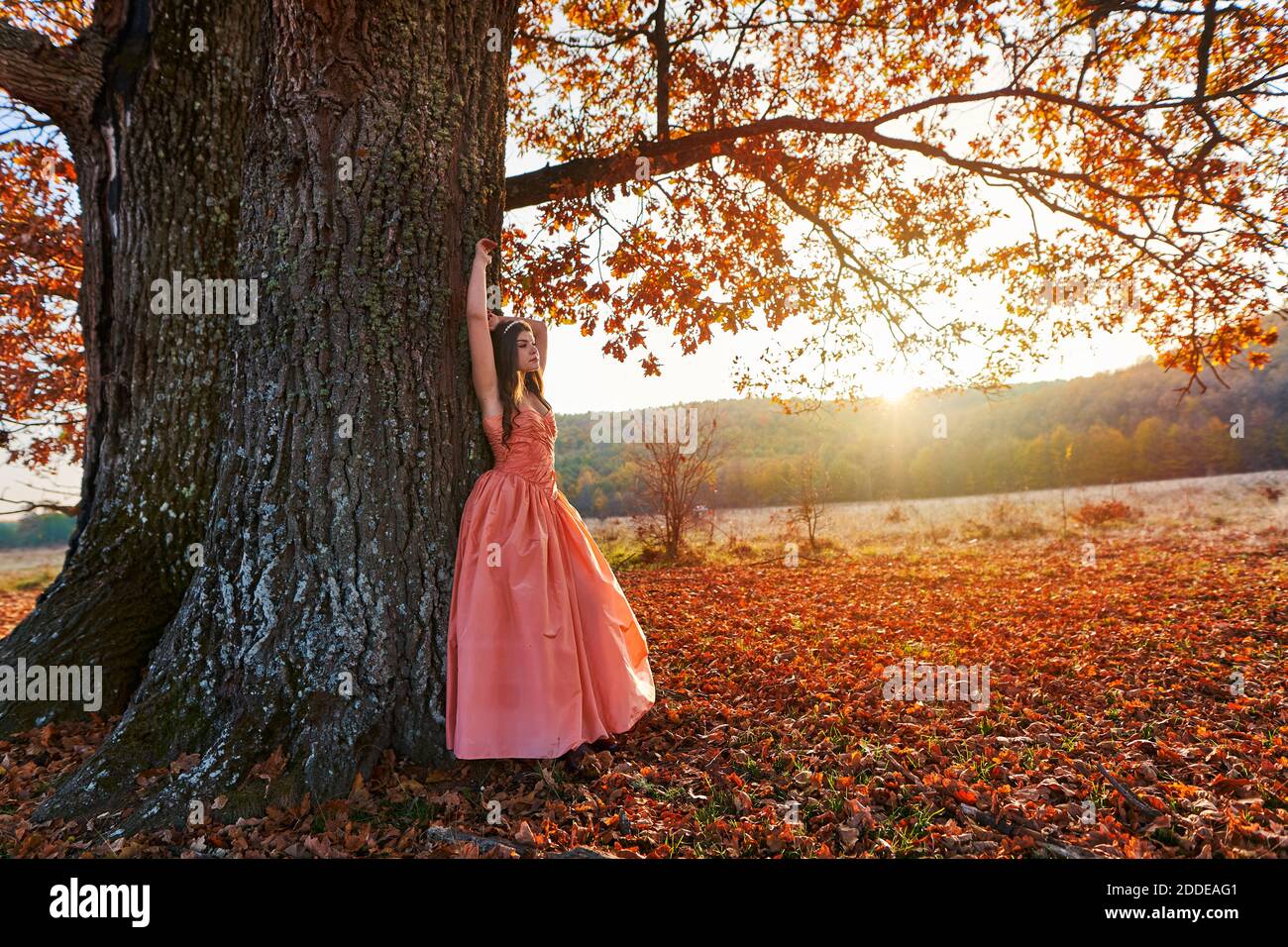 Autumnal beauty portrait of a young woman in an oak forest at sunset ...