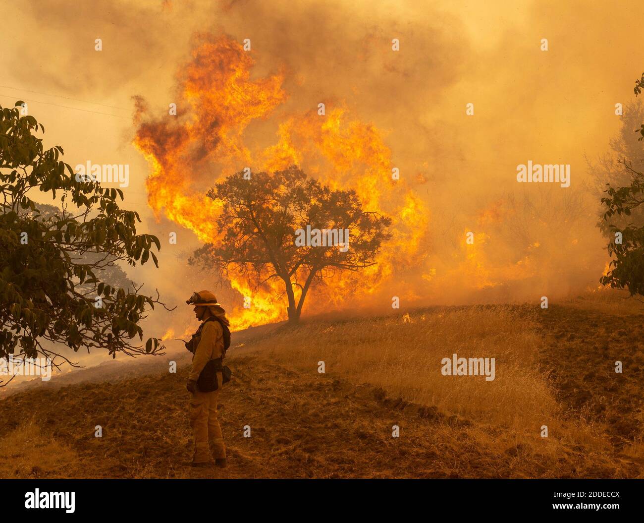 Gold ridge hi-res stock photography and images - Alamy