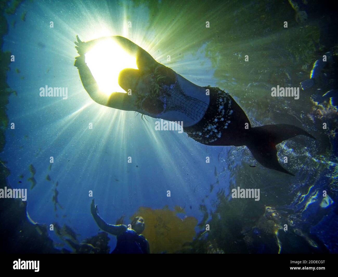 NO FILM, NO VIDEO, NO TV, NO DOCUMENTARY - One of the Long Island ...