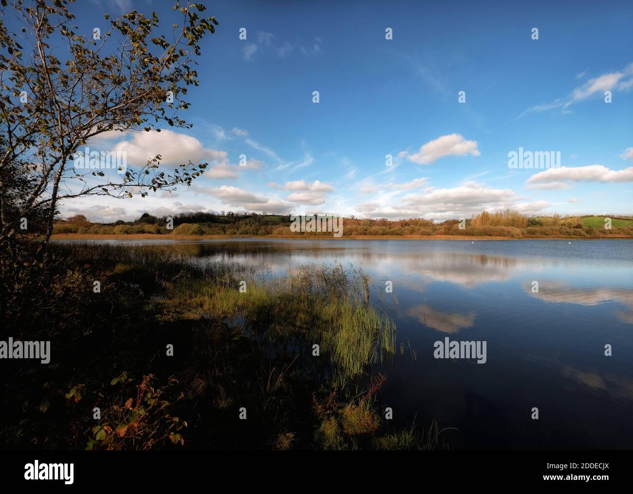Irish Rural countryside from above, Ireland, Europe Stock Photo - Alamy