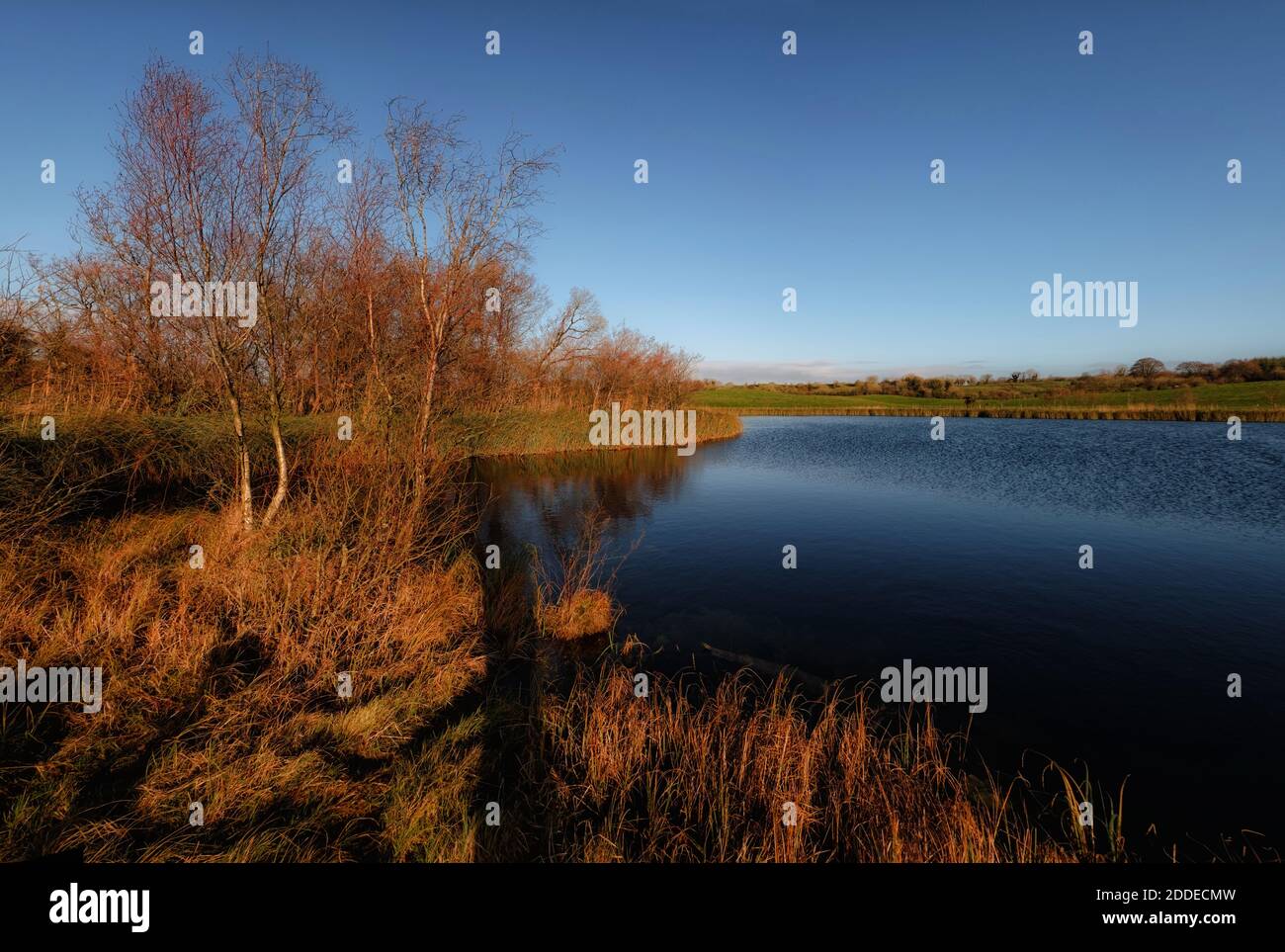 Irish Rural countryside from above, Ireland, Europe Stock Photo - Alamy