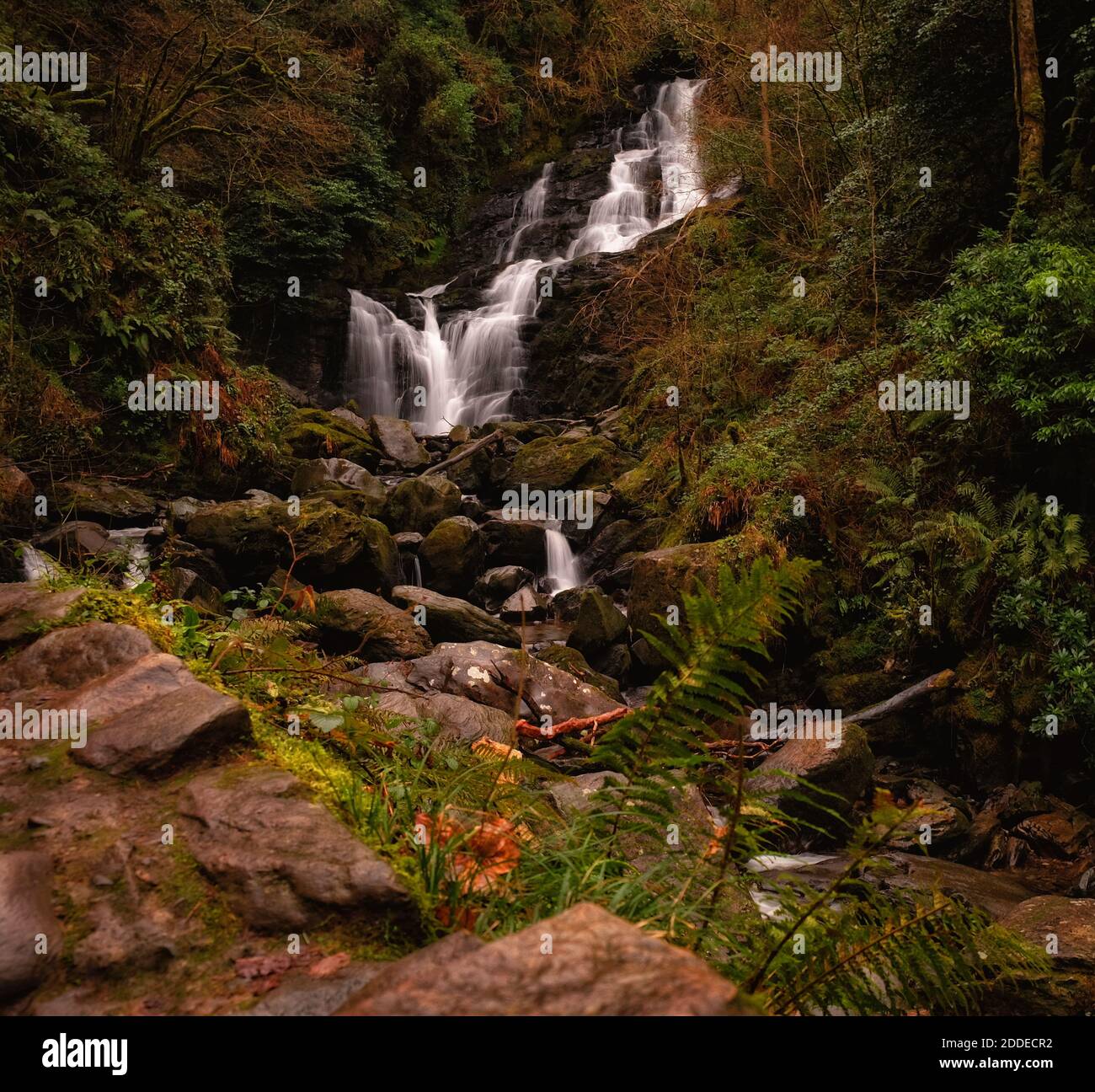 Famous Torc waterfall in Killarney National park, Kerry, Ireland Stock ...