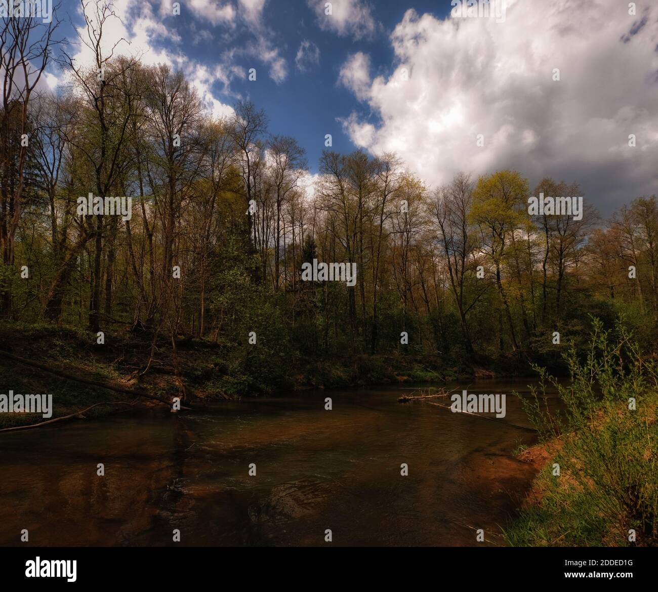 Scenic Isloch river among nature in spring Stock Photo - Alamy
