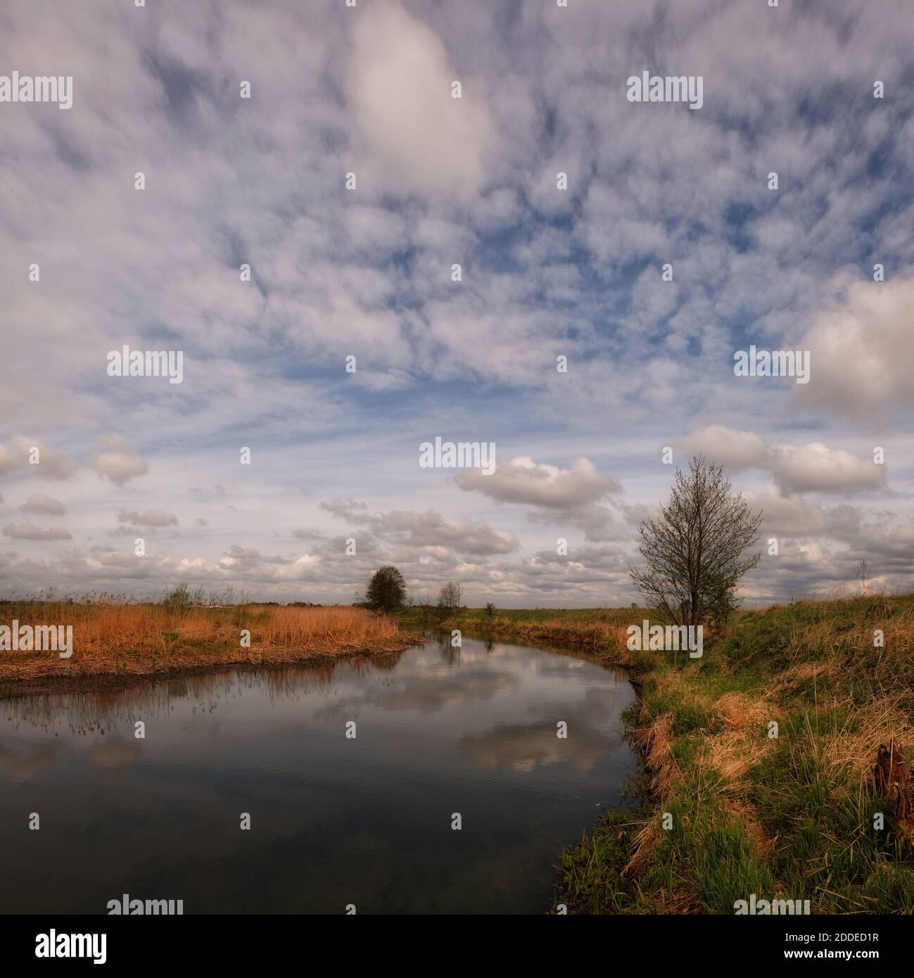 Scenic Isloch river among nature in spring Stock Photo - Alamy