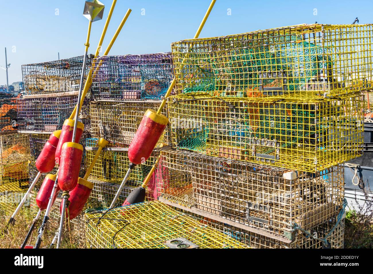 Stack of colourful lobster pots and buoys in a fishing harbour Stock ...
