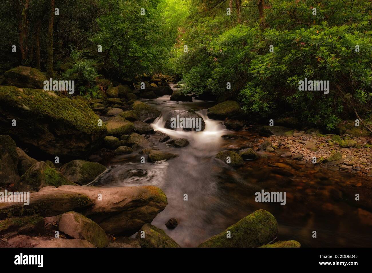 Scenic mountain creek with small waterfall Stock Photo - Alamy