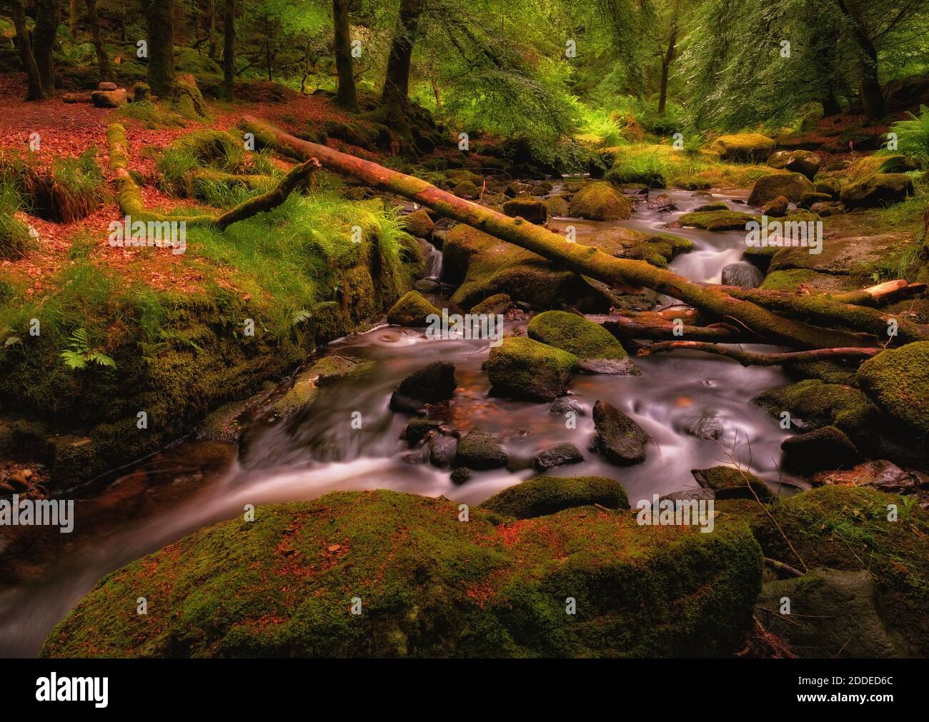 Scenic creeks in Wicklow mountains Stock Photo - Alamy