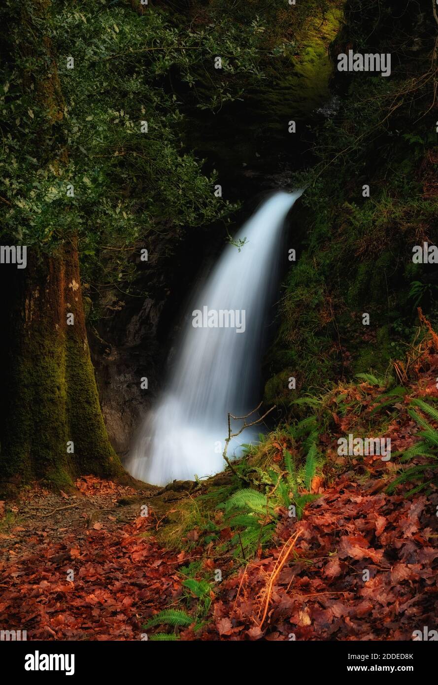 Scenic mountain creek with waterfall Stock Photo - Alamy