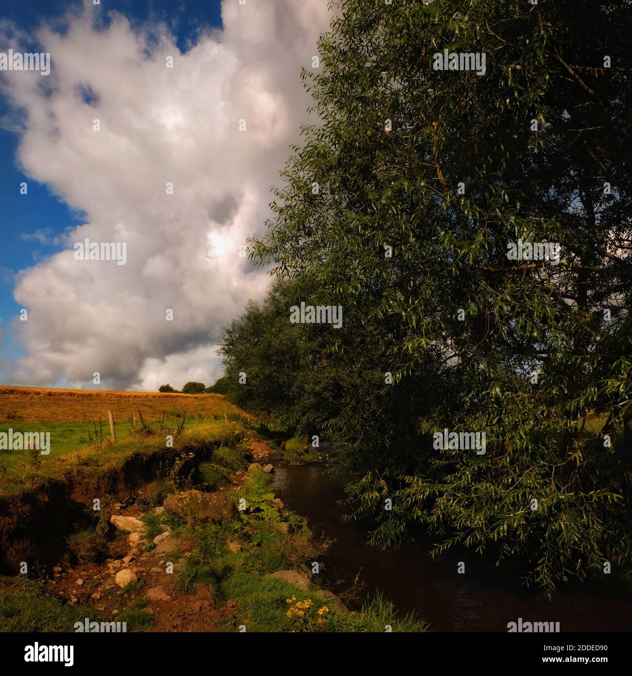 Irish Rural countryside from above, Ireland, Europe Stock Photo - Alamy