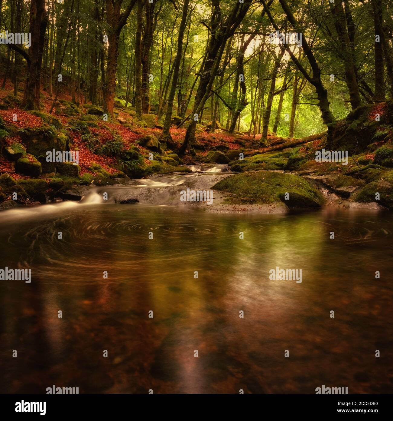 Scenic creeks in Wicklow mountains Stock Photo - Alamy