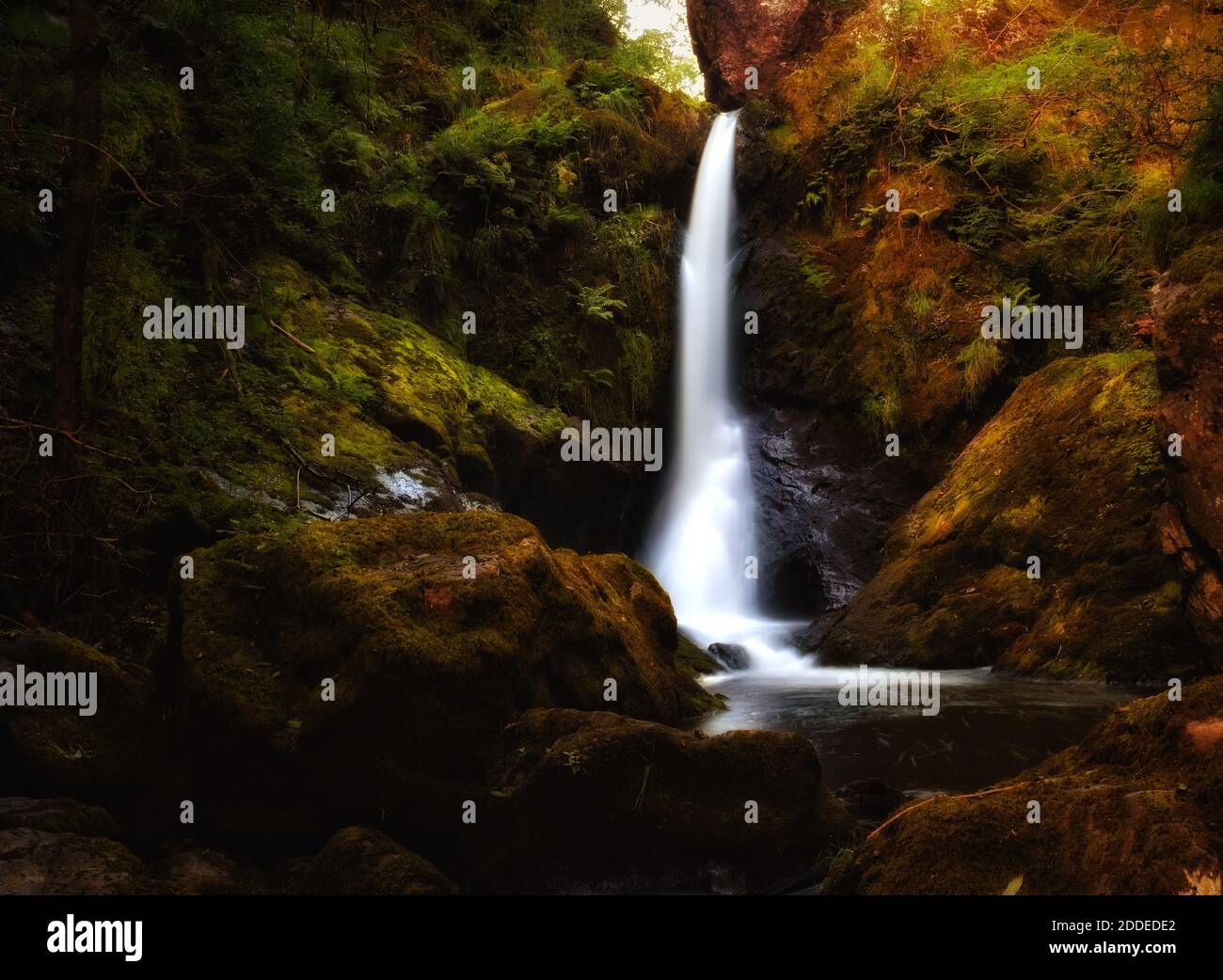 Amazing Devil's Glen waterfall in Wicklow mountains Stock Photo - Alamy