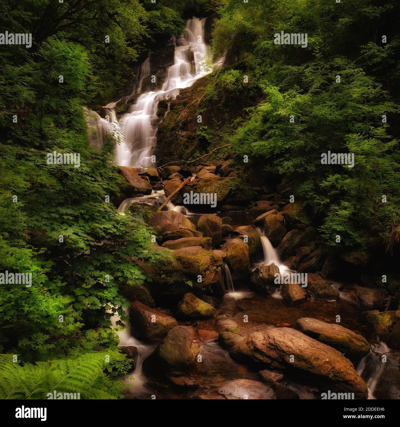 Amazing Torc waterfall in Killarney national park, Kerry, ireland Stock ...