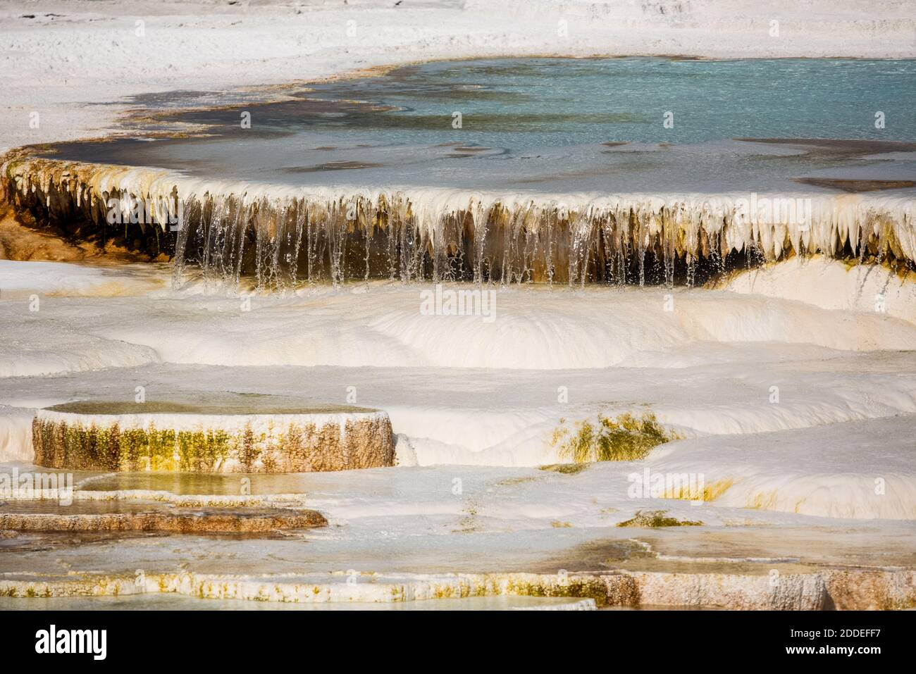 Overhanging terrace, Canary Spring, Main Terrace, Mammoth Hot Springs ...