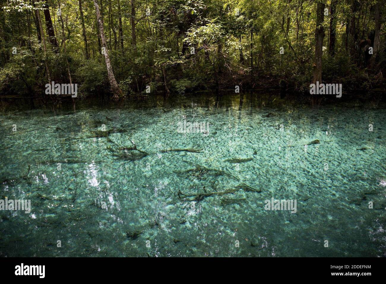 Video water in crystal clear hi-res stock photography and images - Alamy
