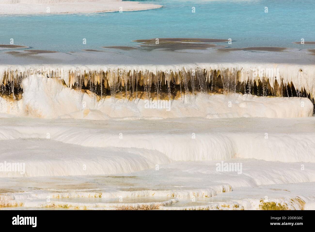 Overhanging terrace, Canary Spring, Main Terrace, Mammoth Hot Springs ...