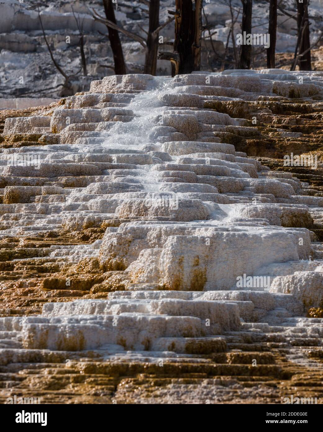 Water flows down the face of Angel Terrace, Mammoth Hot Springs ...