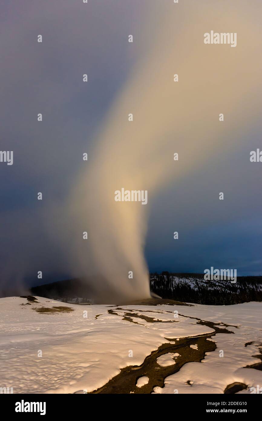 The Old Faithful Geyser erupts on a cold winter night in Yellowstone ...