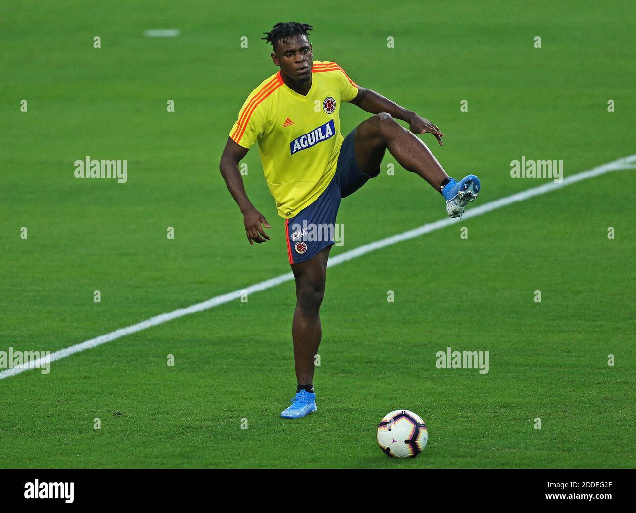 Duvan zapata colombia hi-res stock photography and images - Alamy
