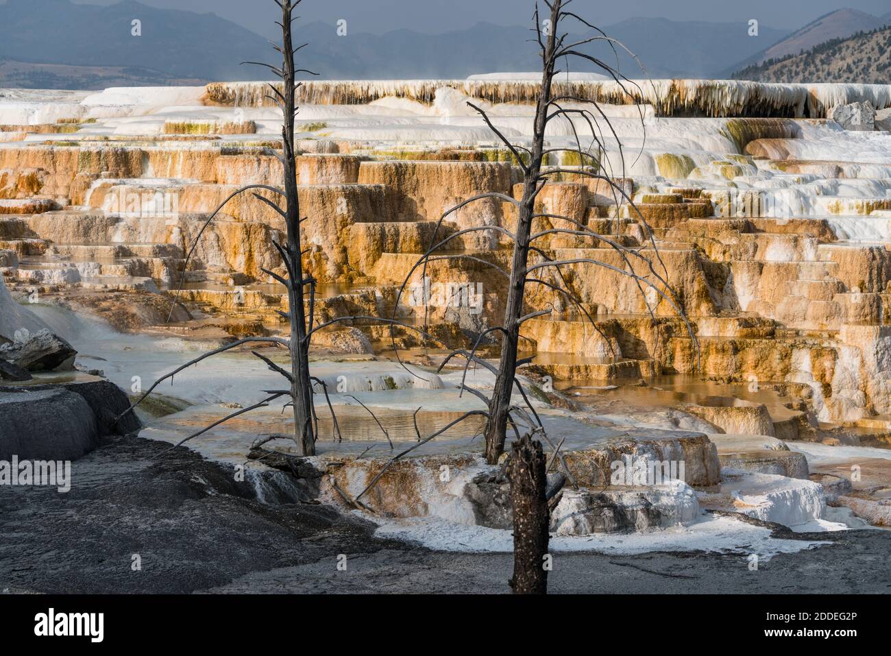 Canary Spring terraces and pools, Main Terrace, Mammoth Hot Springs ...