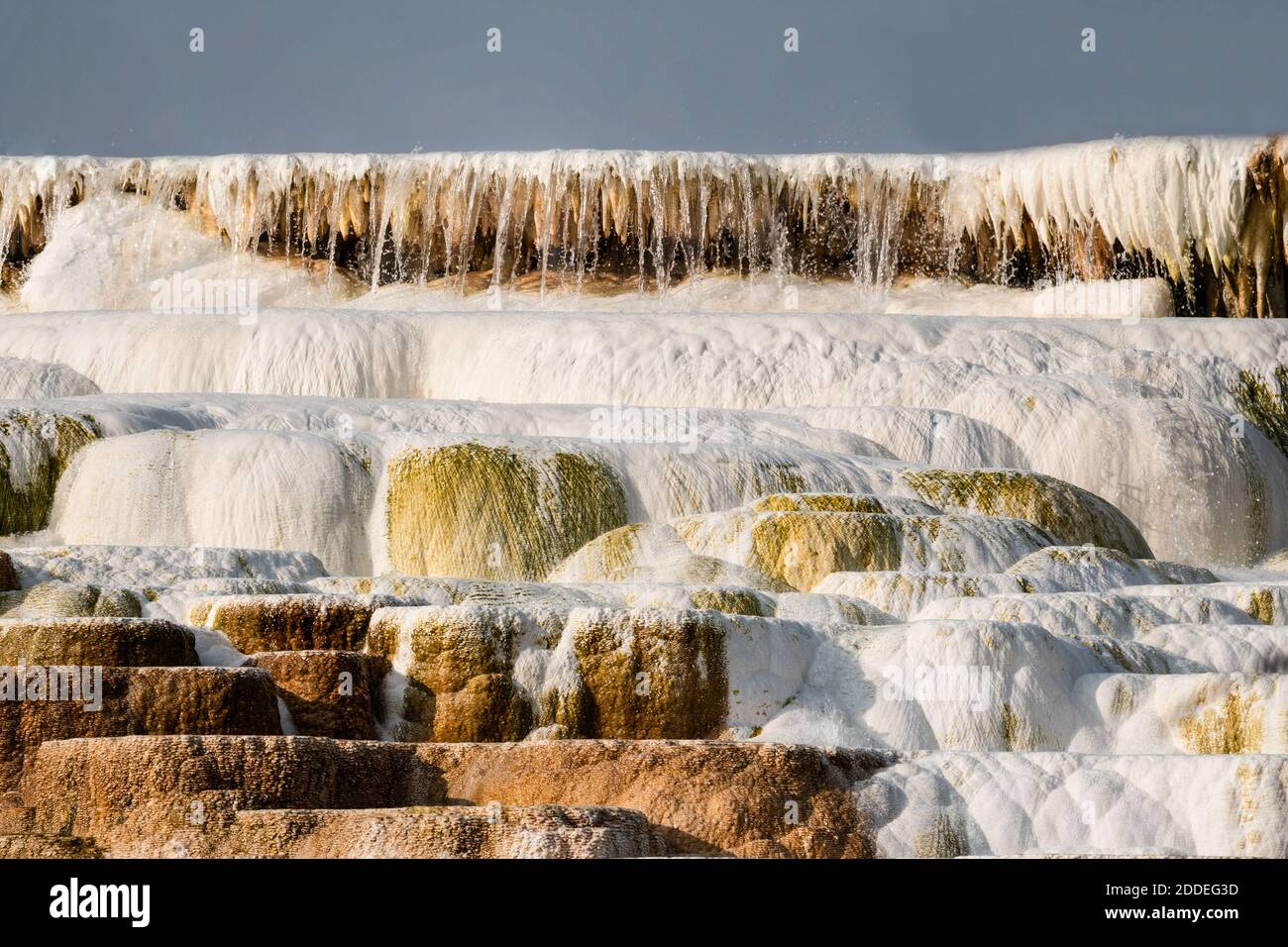 Overhanging terrace, Canary Spring, Main Terrace, Mammoth Hot Springs ...