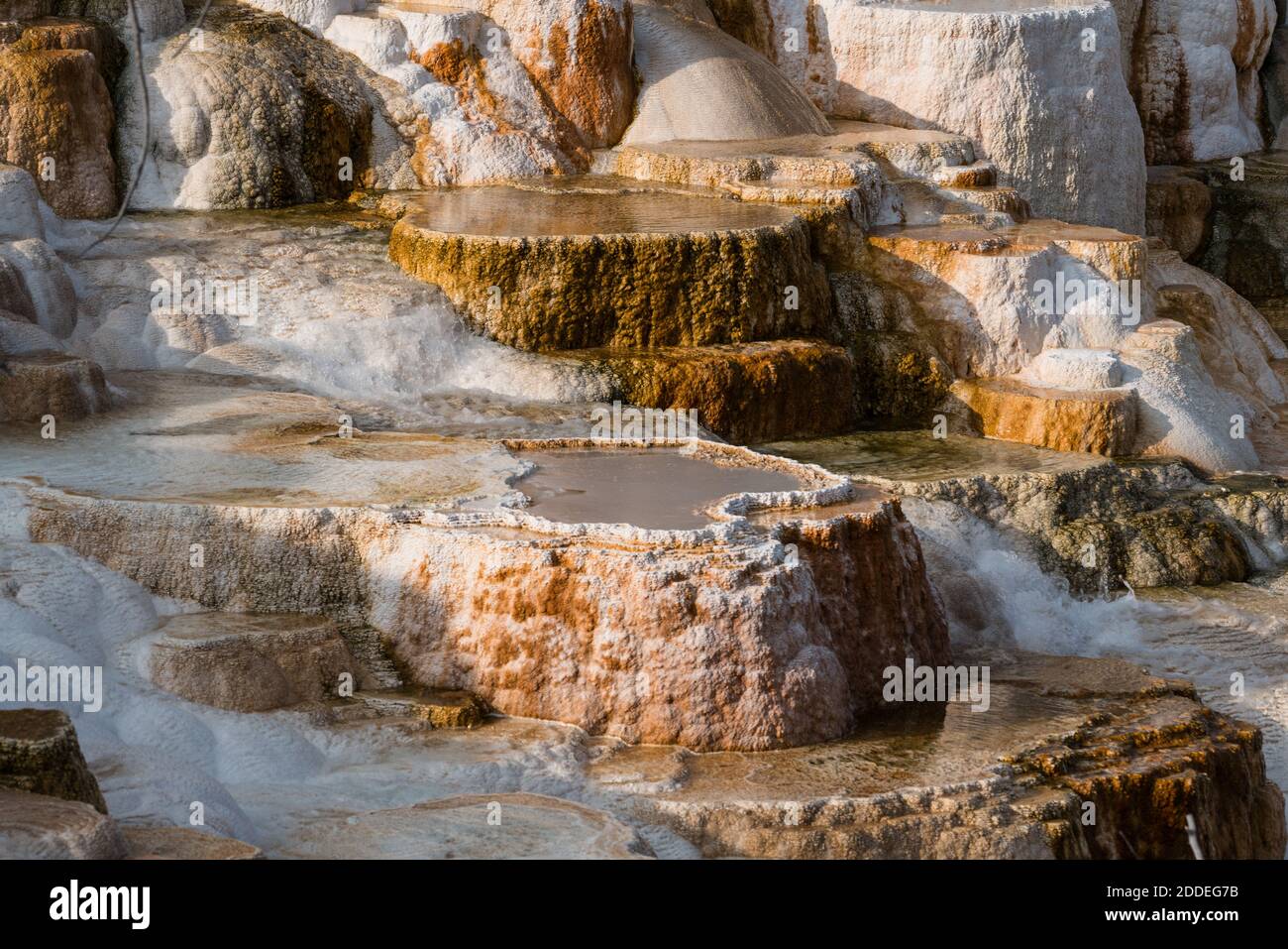 Canary Spring terraces and pools, Main Terrace, Mammoth Hot Springs ...