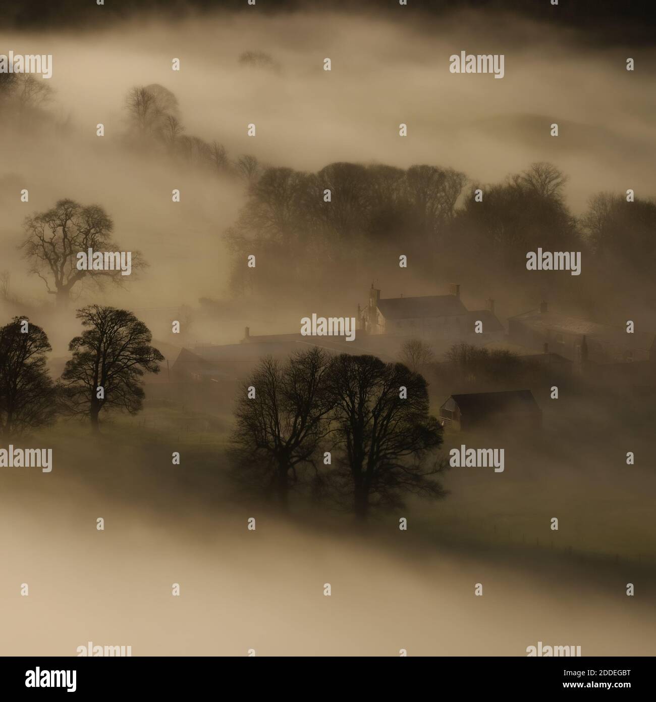 Irish Rural countryside from above, Ireland, Europe Stock Photo - Alamy