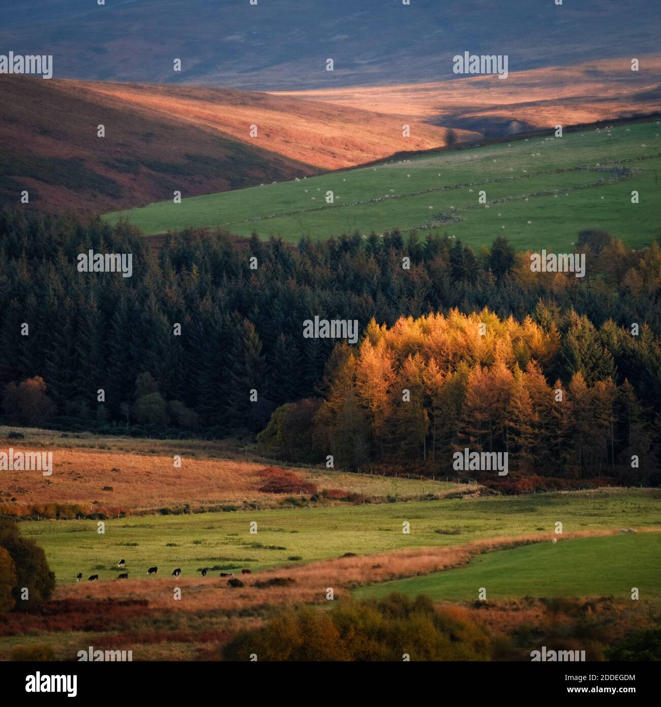 Irish Rural countryside from above, Ireland, Europe Stock Photo - Alamy