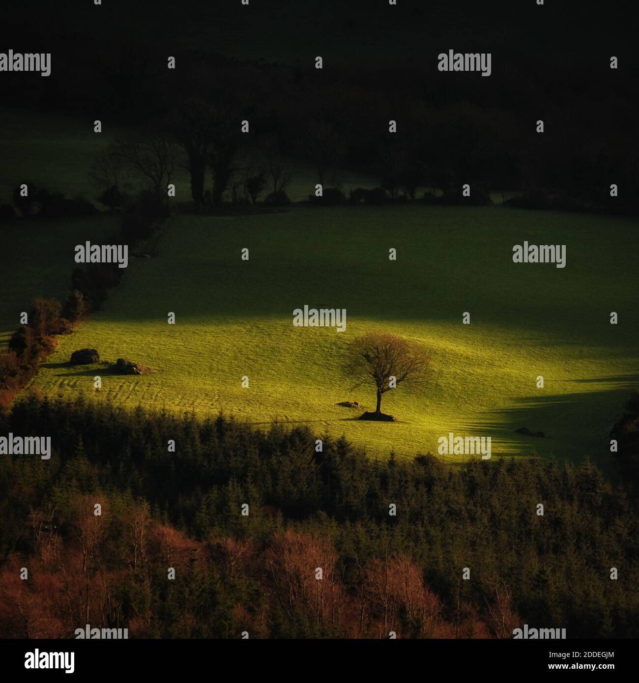 Irish Rural countryside from above, Ireland, Europe Stock Photo - Alamy