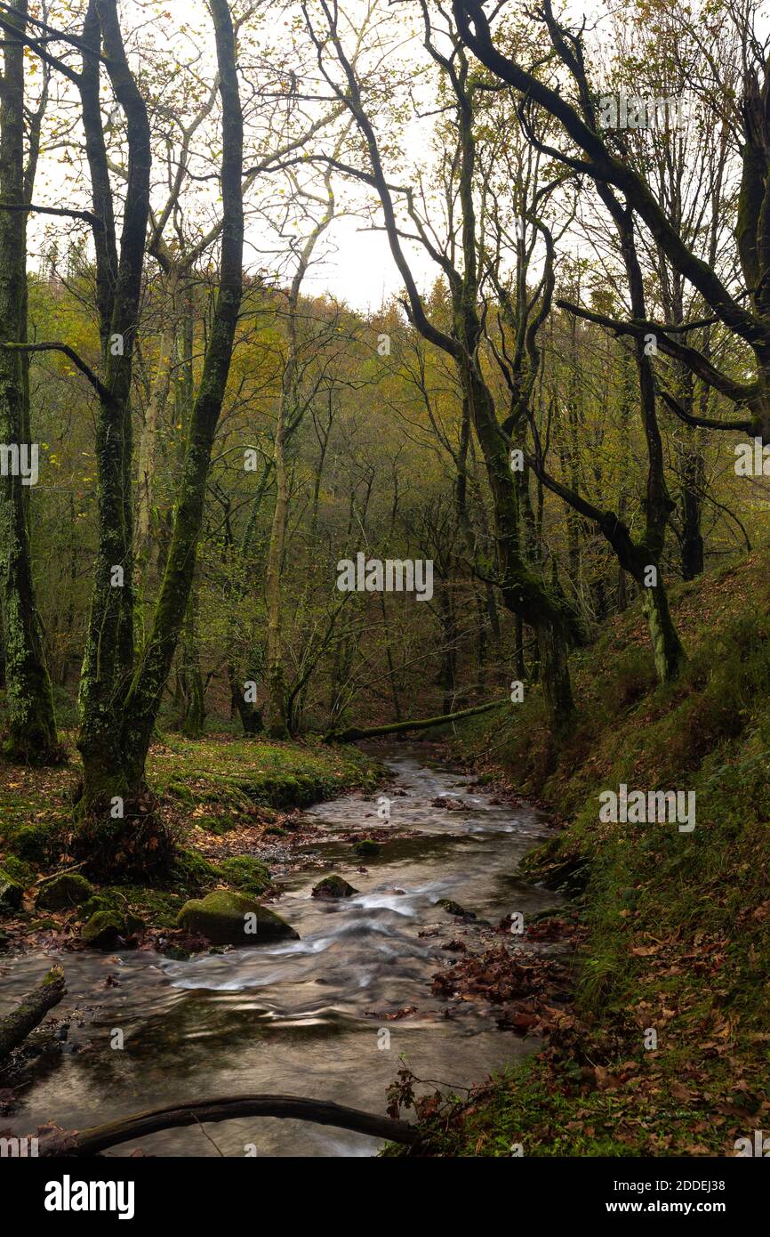 View over basque forest with autumn colors at Aiako Harriak natural ...