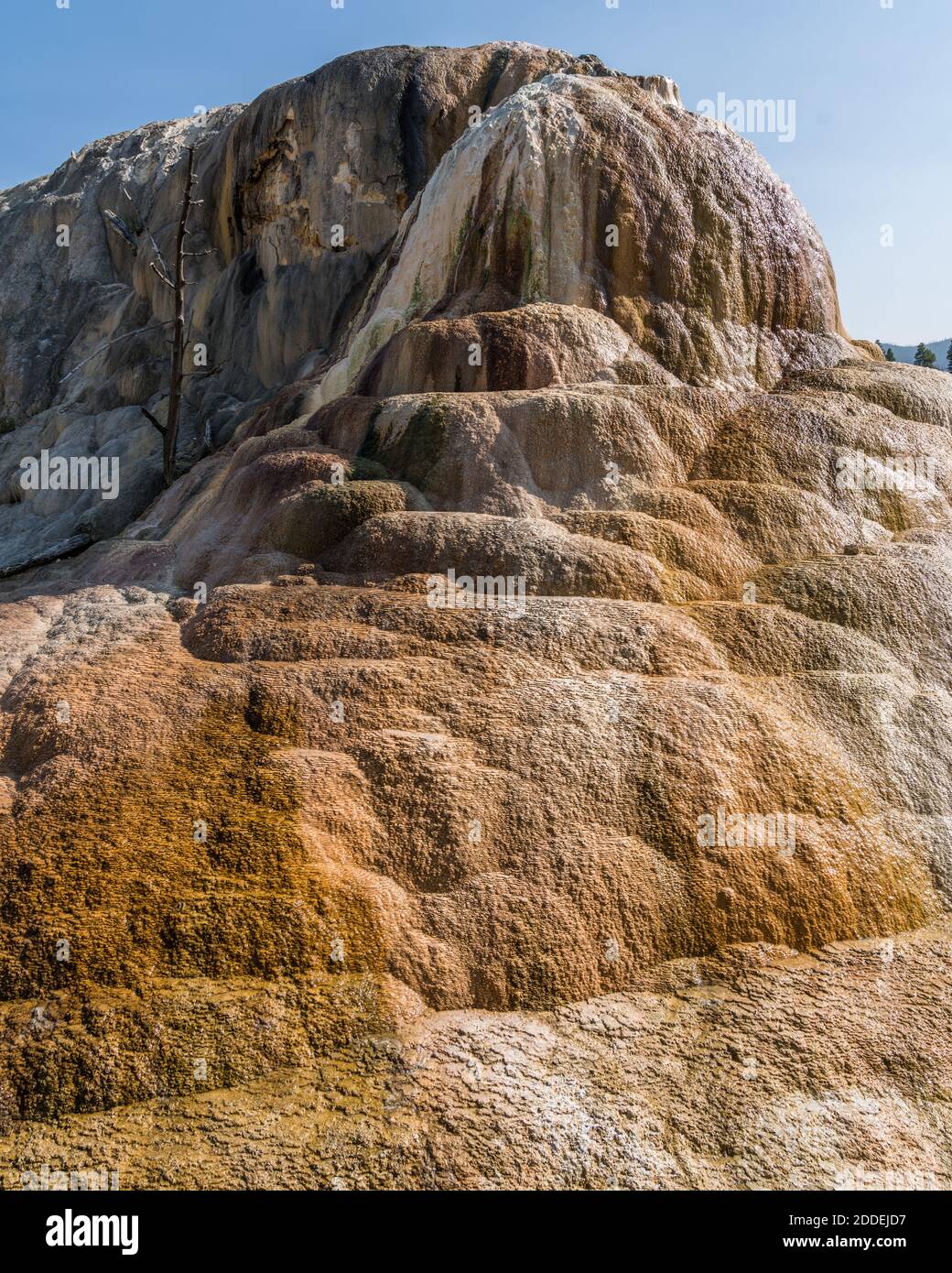 Orange Spring Mound on the Upper Terraces of Mammoth Hot Springs ...