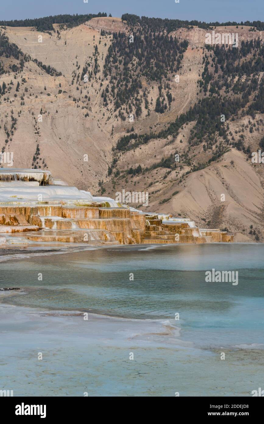 Canary Spring terraces and pools, Main Terrace, Mammoth Hot Springs ...