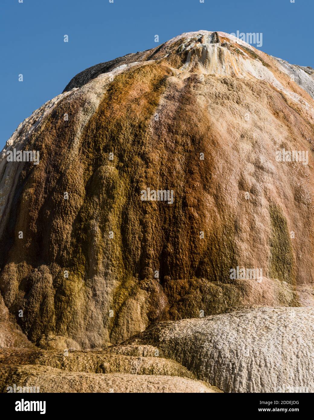 Orange Spring Mound on the Upper Terraces of Mammoth Hot Springs ...