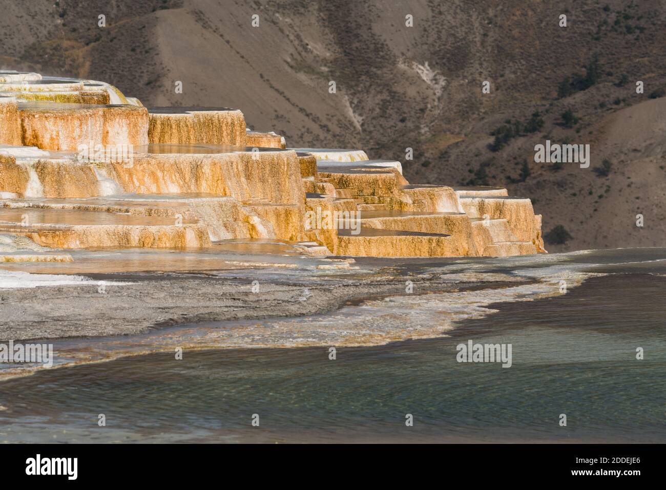 Canary Spring terraces and pools, Main Terrace, Mammoth Hot Springs ...