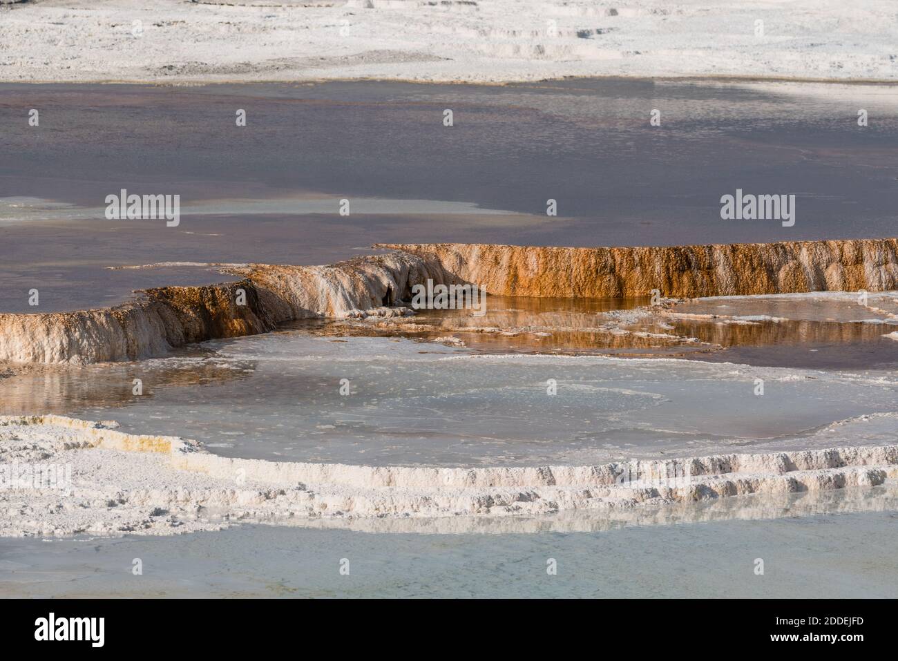 Canary Spring terraces and pools, Main Terrace, Mammoth Hot Springs ...