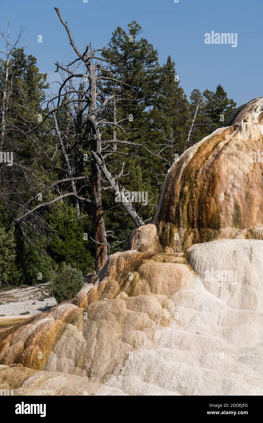 Orange Spring Mound on the Upper Terraces of Mammoth Hot Springs ...