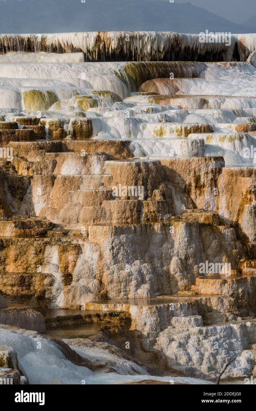 Overhanging terrace, Canary Spring, Main Terrace, Mammoth Hot Springs ...