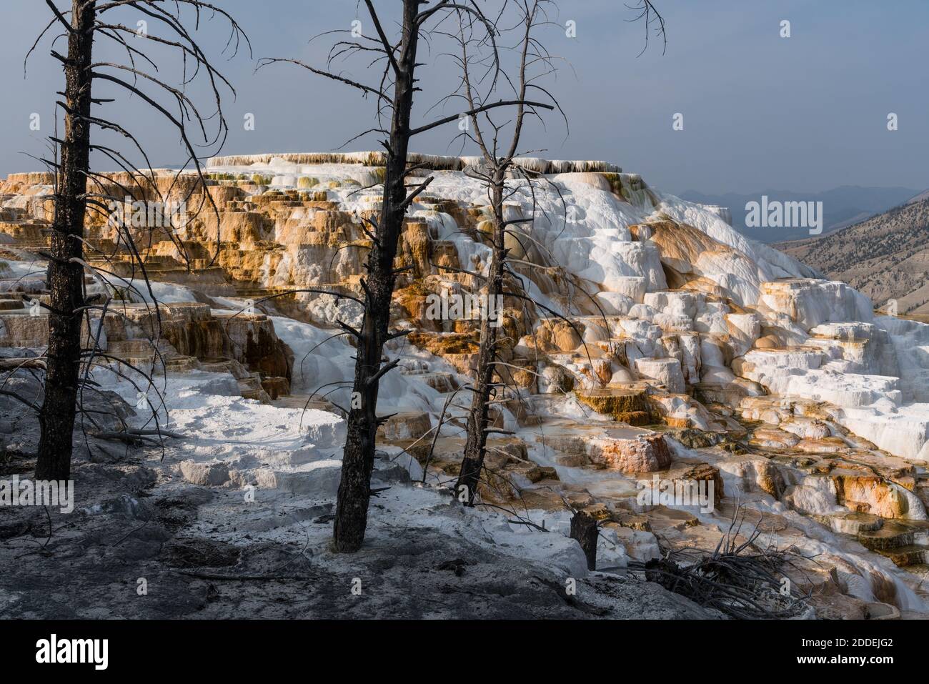 Marble Terrace below Canary Spring, Main Terrace, Mammoth Hot Springs ...