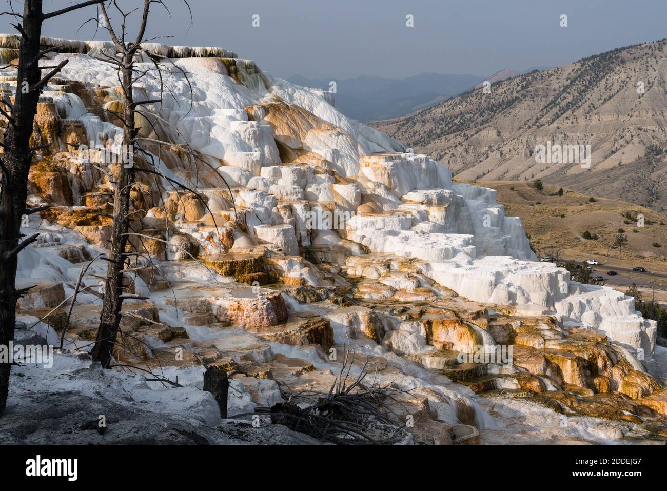 Marble Terrace below Canary Spring, Main Terrace, Mammoth Hot Springs ...