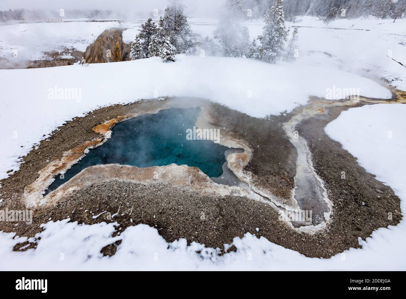 Blue Star Spring steams on a cold winter day in the Upper Geyser Basin ...